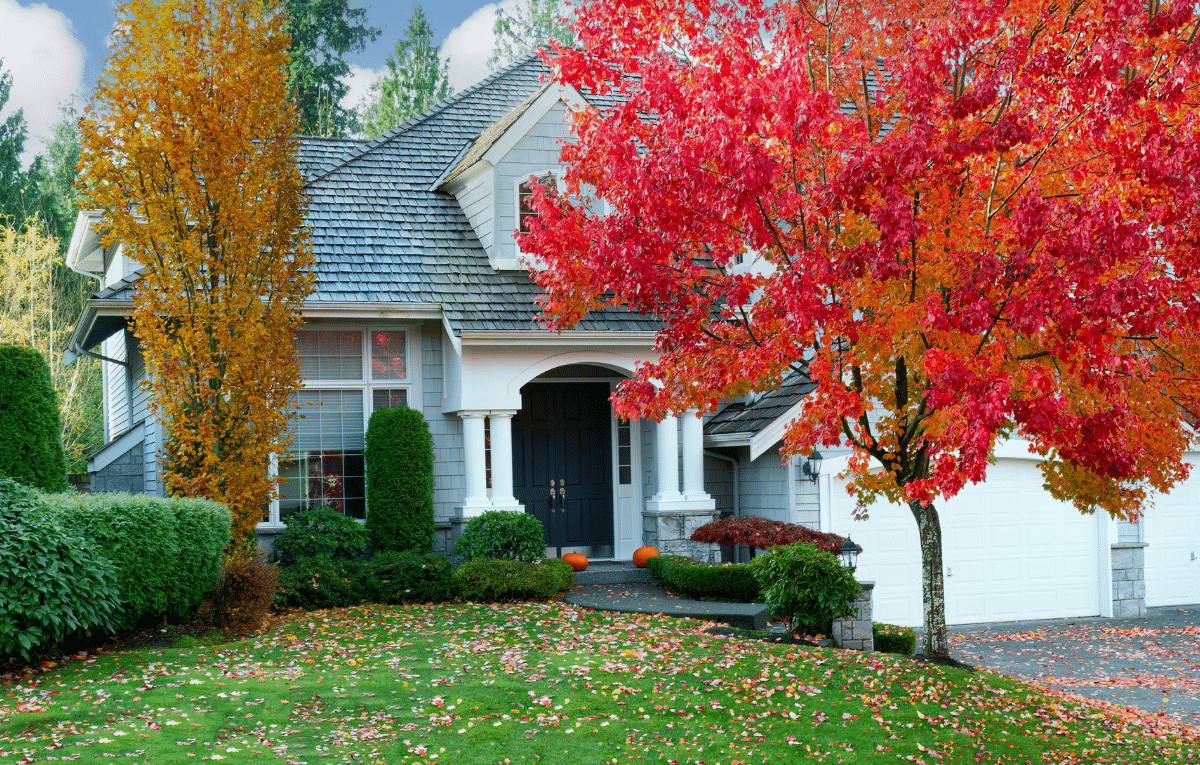 Pourquoi mai est le mois décisif pour l’apparence de votre gazon jusqu ...